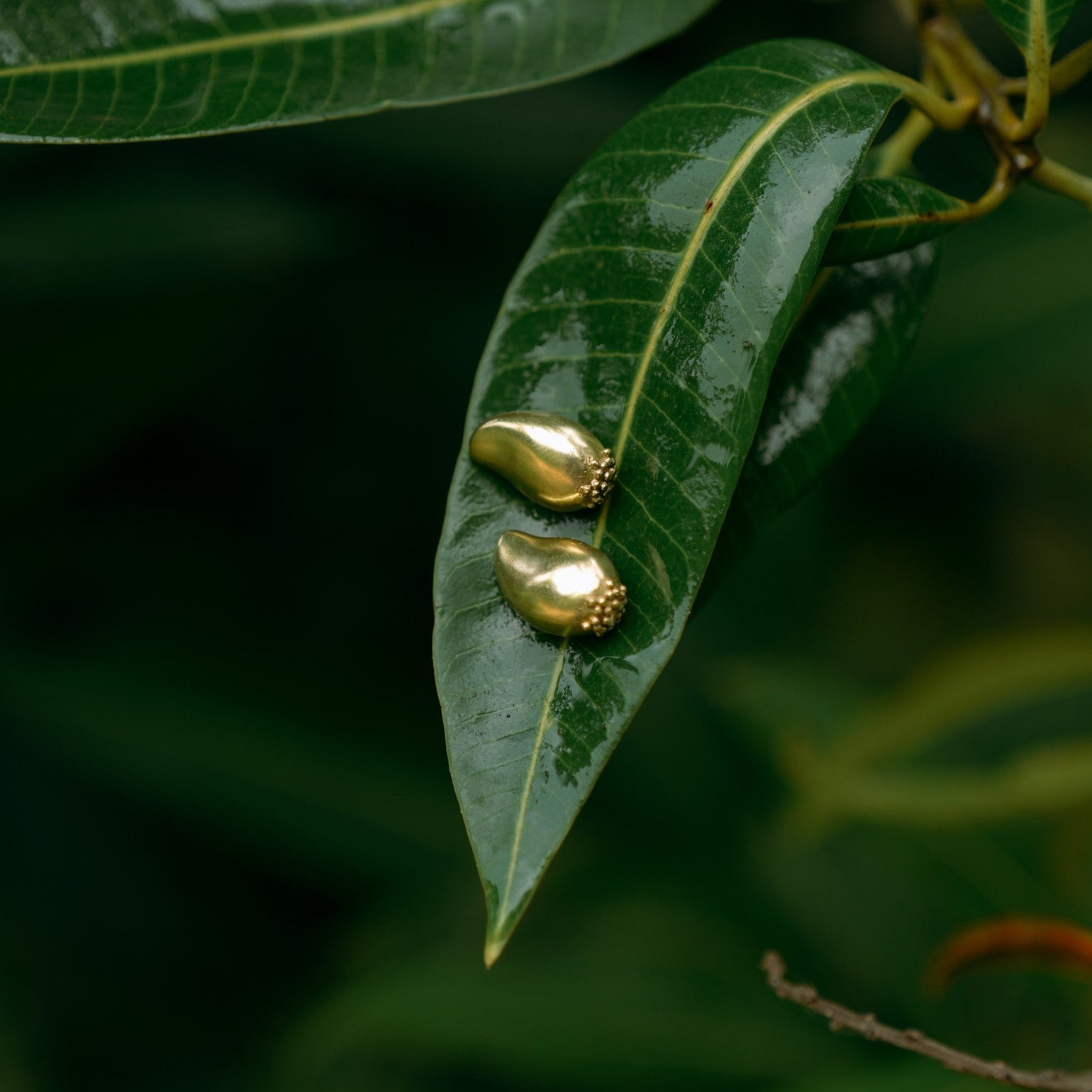 Sculpted Mango Charm Earrings – surmeyi