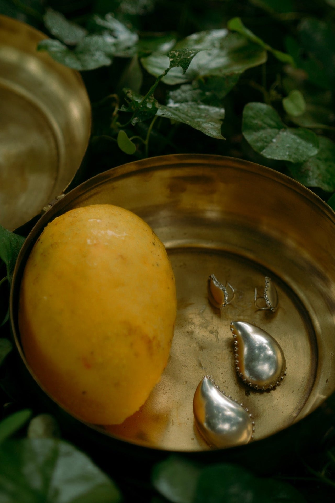 Mango Bagicha – surmeyi