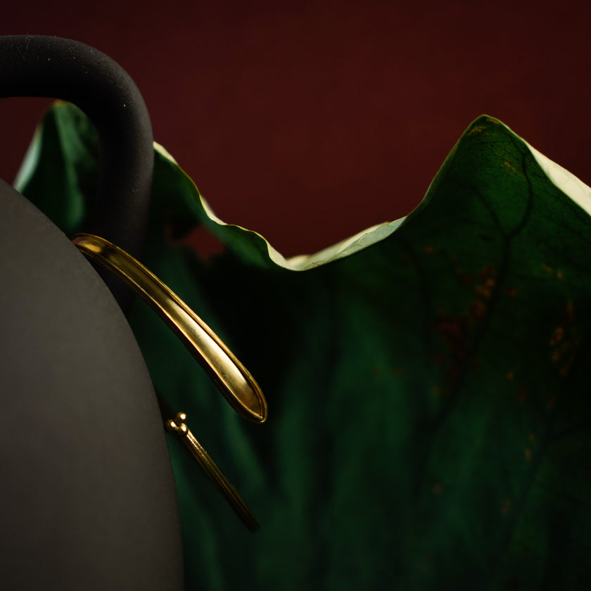 Collections – surmeyi