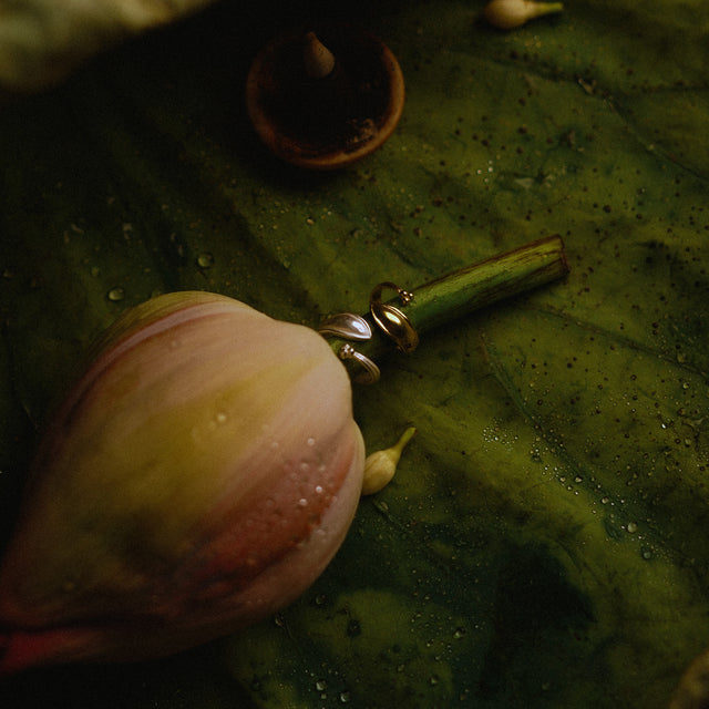 Collections – surmeyi