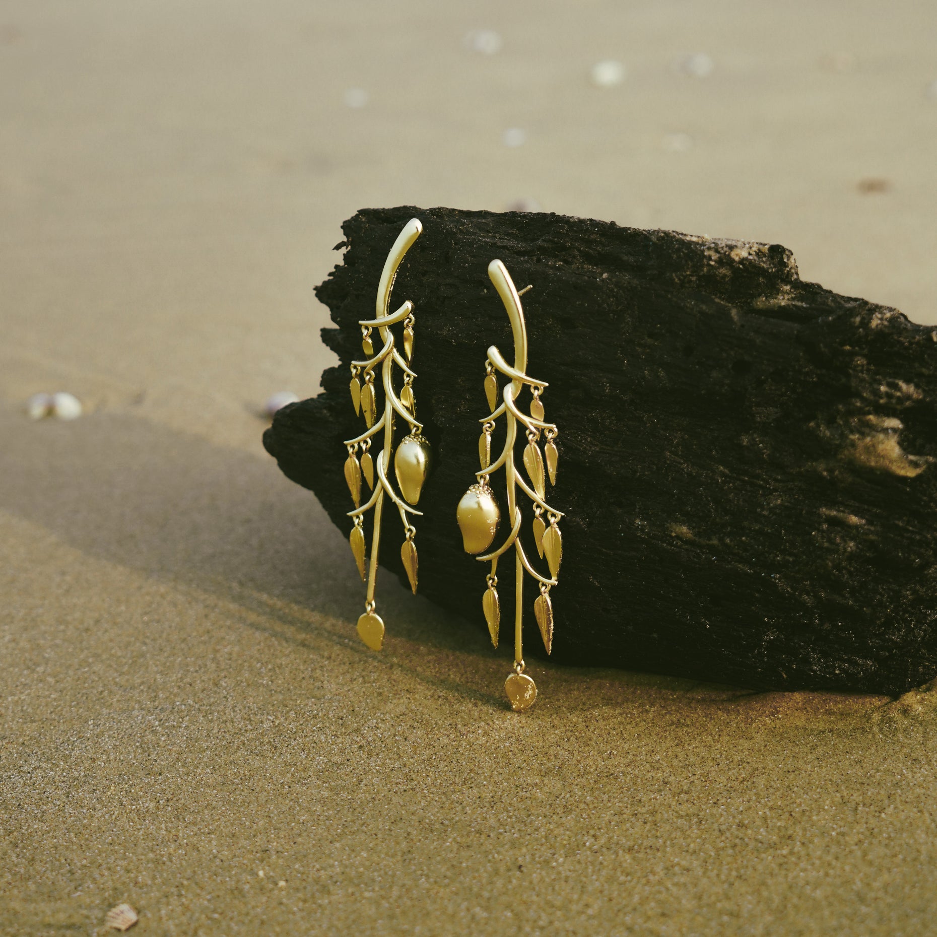 Collections – surmeyi