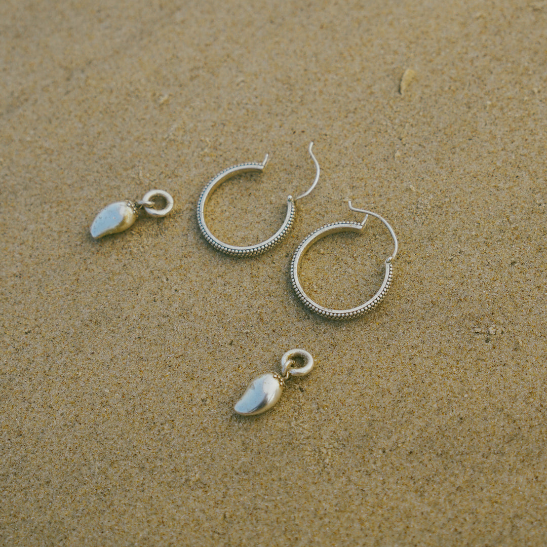 Collections – surmeyi