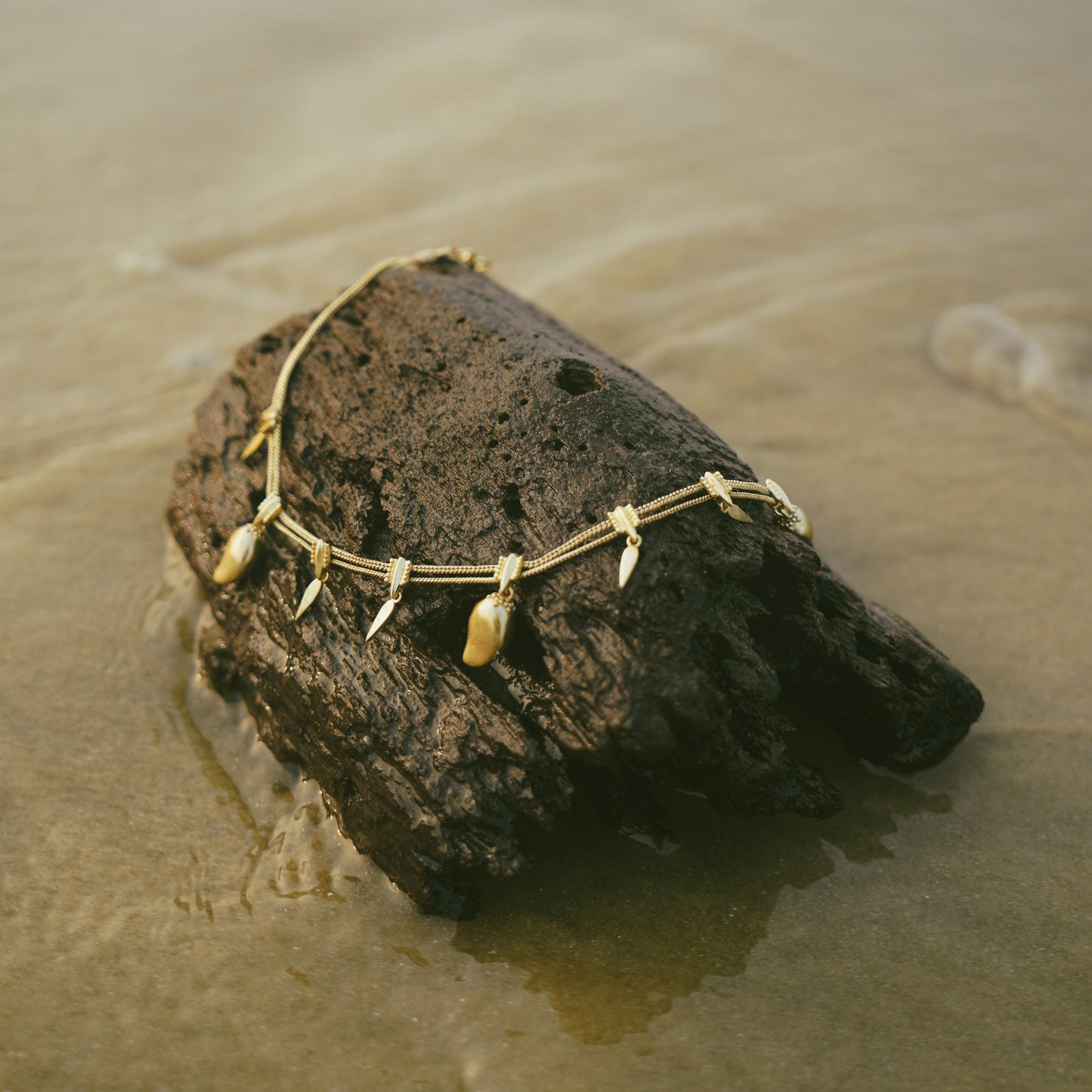 Collections – surmeyi