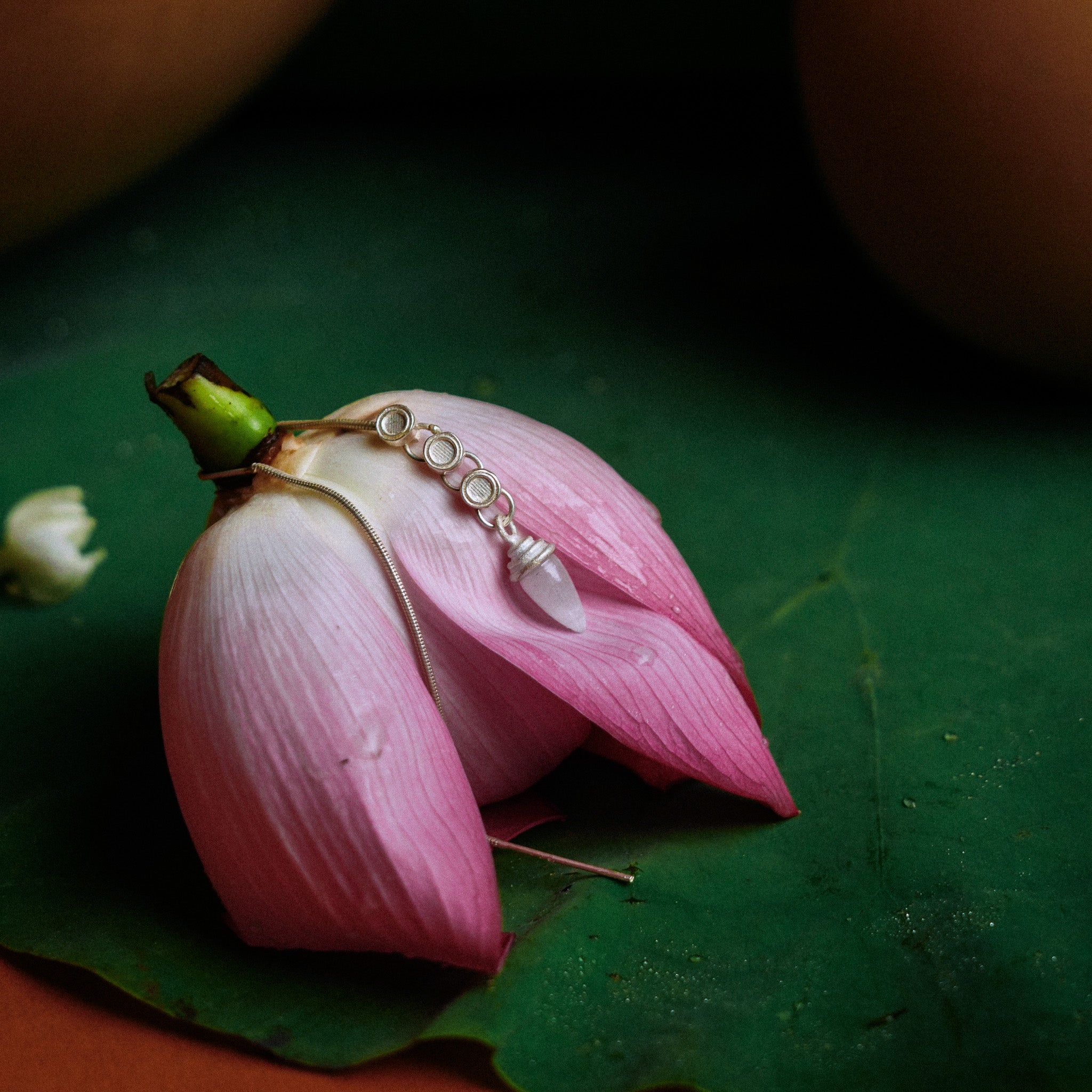 Wonder Mogra Threaders – surmeyi